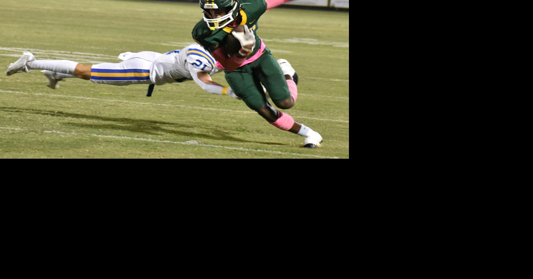 Panthers sink Pirates | Local Sports | chronicleonline.com