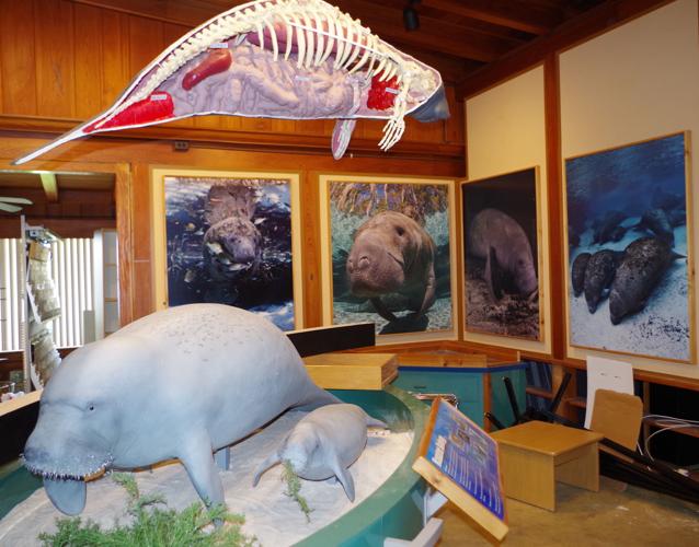 After being flooded out two years ago, USFWS refuge headquarters ...