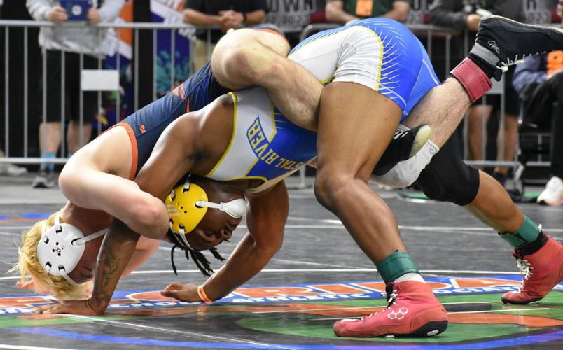 Gray, Reed clinch medals | Local Sports | chronicleonline.com