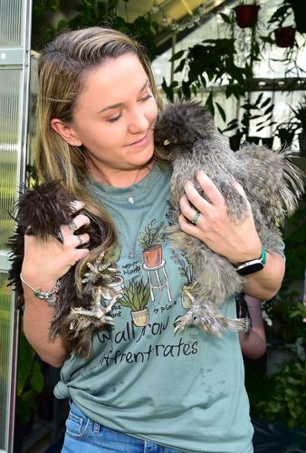 Lexie Rayne Acres where furry, feathery balls of fluff rule the roost ...