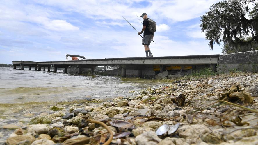 Citrus County to consider $45K partnership for Lake Hernando project ...