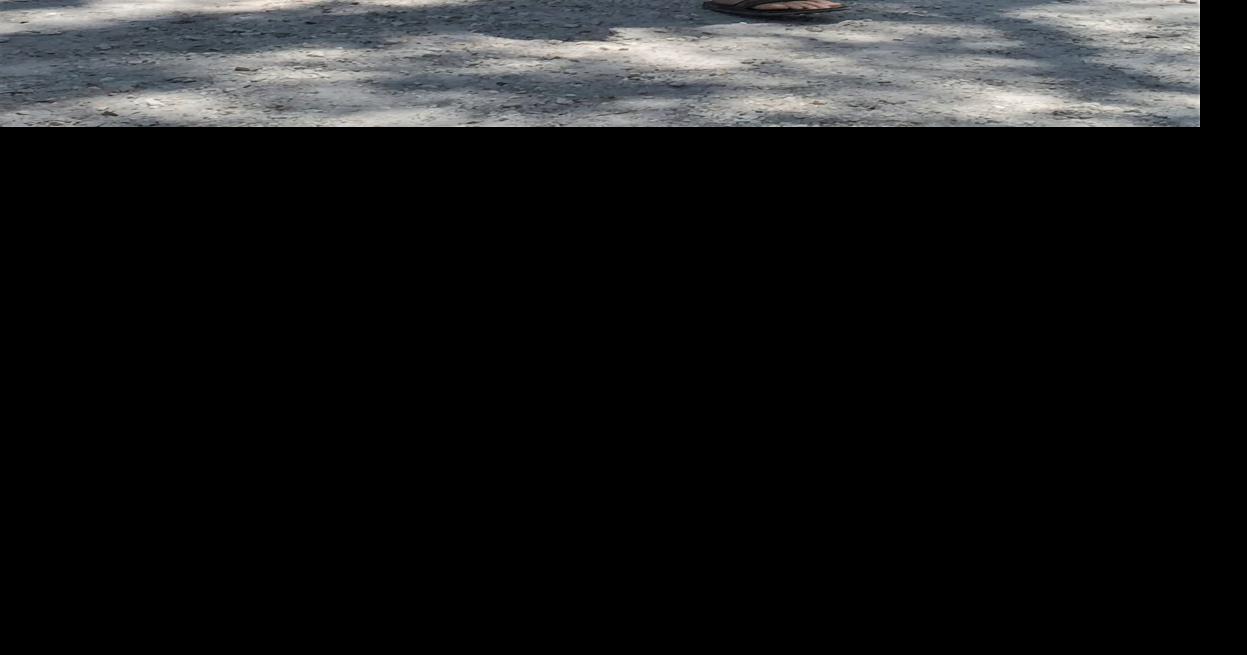 Tossing fish benefits children | Local News | chronicleonline.com