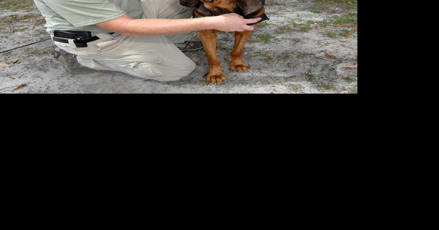 Deputy Dogs | News | chronicleonline.com