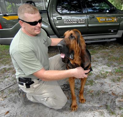 Deputy Dogs | News | chronicleonline.com