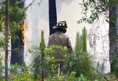Forestry keeps eyes on burnt-out wildfire outside Crystal River; cause ...