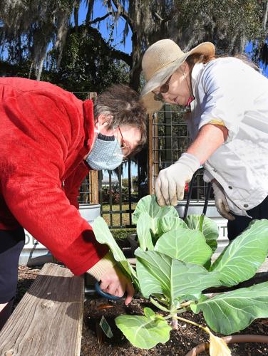 Key Training Center 101 | Local News | chronicleonline.com