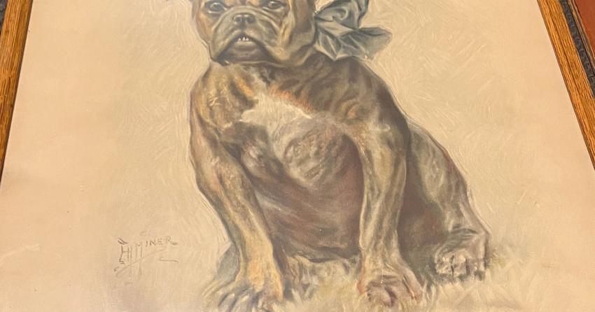 Sikorski’s Attic: Uncertainty about blue-ribbon bulldog picture ...