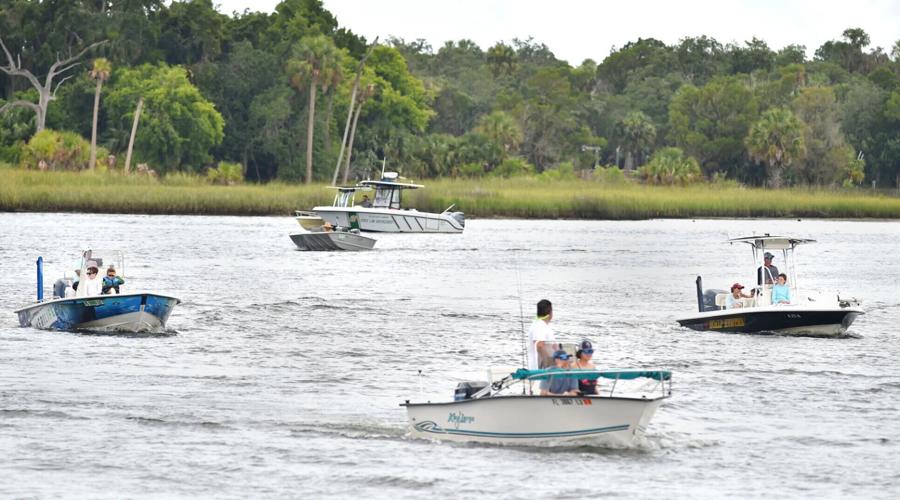 Florida manatees face increased danger from boating as spring arrives ...