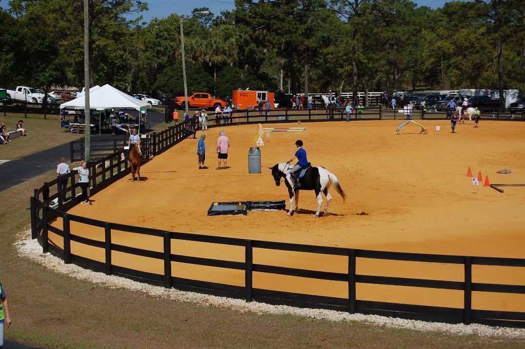 Horse Obstacle Challenge raises funds for theraputic riding | Lifestyle ...