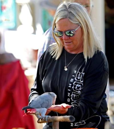 Ozello Craft Show & Chili Cook-Off Sat. Feb. 15 | | chronicleonline.com