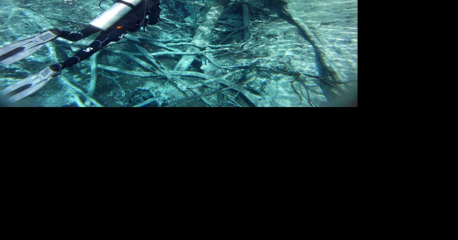 Not sure if you want to dive in to diving? Stick your toe in ...