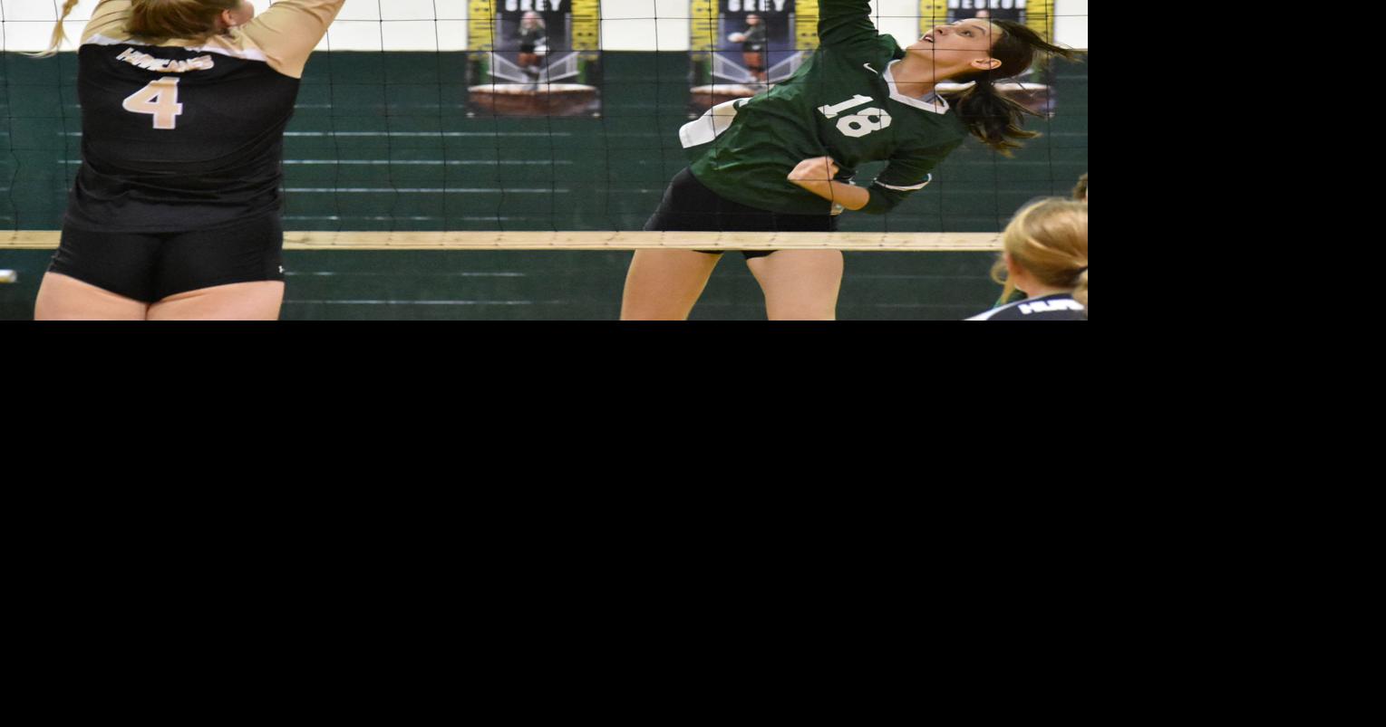 Panthers sweep Hurricanes | Local Sports | chronicleonline.com