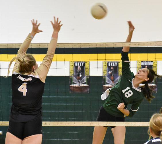 Panthers sweep Hurricanes | Local Sports | chronicleonline.com
