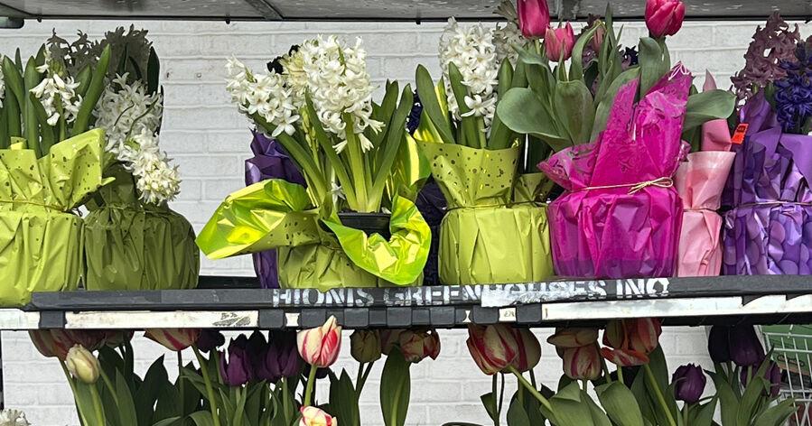 Use force to make your home blooming pretty inside | Home and Outdoor ...