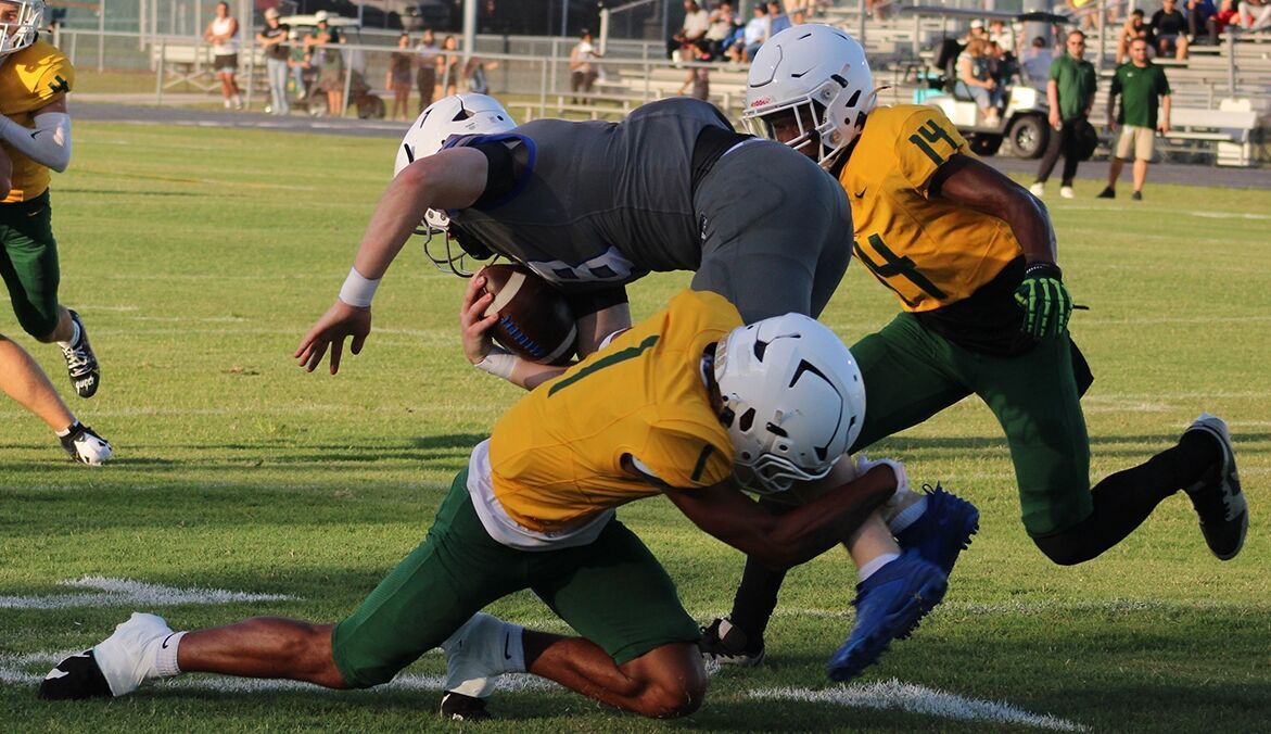 Page E3 | e-Edition | chronicleonline.com