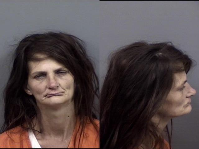 Citrus County mugshots from Nov. 22 to Nov. 23 | Crime & Courts ...
