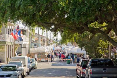 Old Florida Celebration of the Arts returns to Cedar Key this weekend ...