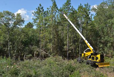 Duke clearing trees for transmission line | Local News ...