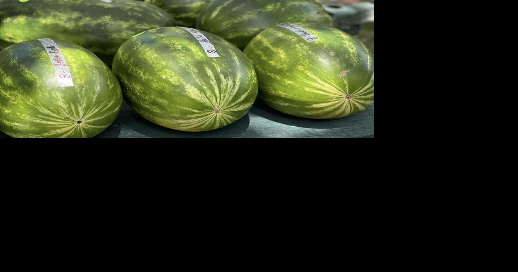 Snapshots from the 69th annual Chiefland Watermelon Festival | Local ...