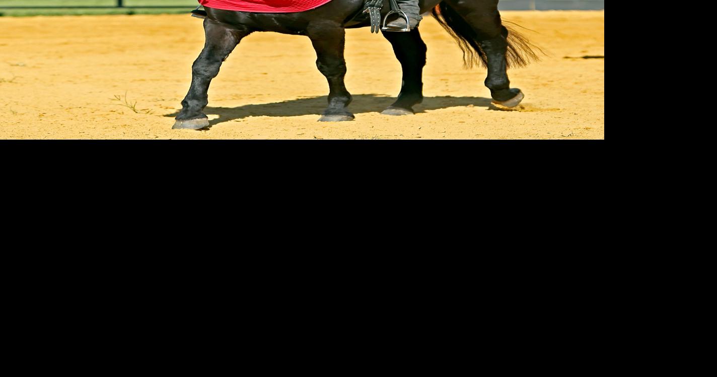 Pumpkins and ponies in Pine Ridge | Local News | chronicleonline.com