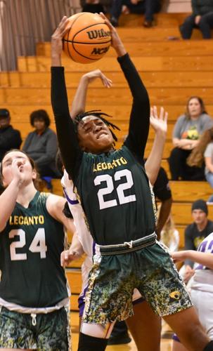 Panthers fall in semis | Sports | Citrus County Chronicle ...