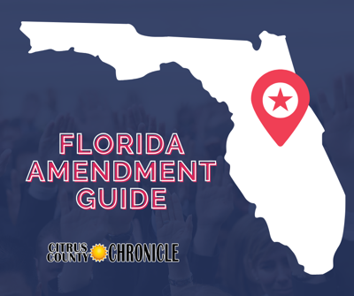 A brief guide to Florida's six ballot amendments | Elections ...