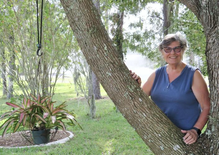 Meet me at the camphor | Lifestyle | chronicleonline.com