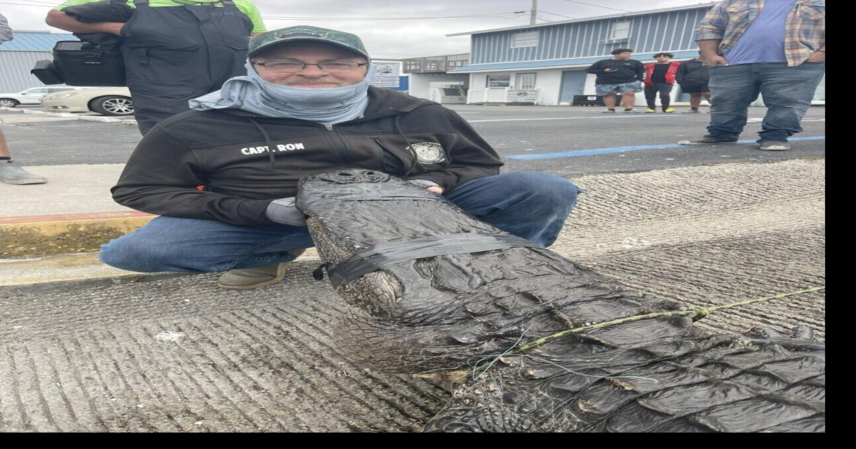 Where is Lt. Dan? Gator trapper says he didn’t take him | Local News ...