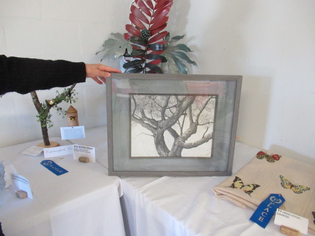 Cedar Key Woman’s Club arts winners | Local News | chronicleonline.com