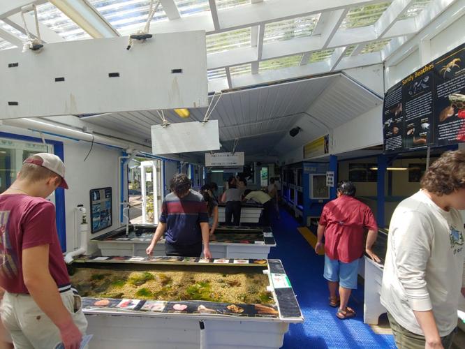 Diving Deep: Exploring the ‘Gulf Specimen Public Aquarium | Local News ...