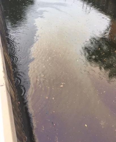 USCG: Sightings down of mysterious gasoline sheen in Crystal River ...
