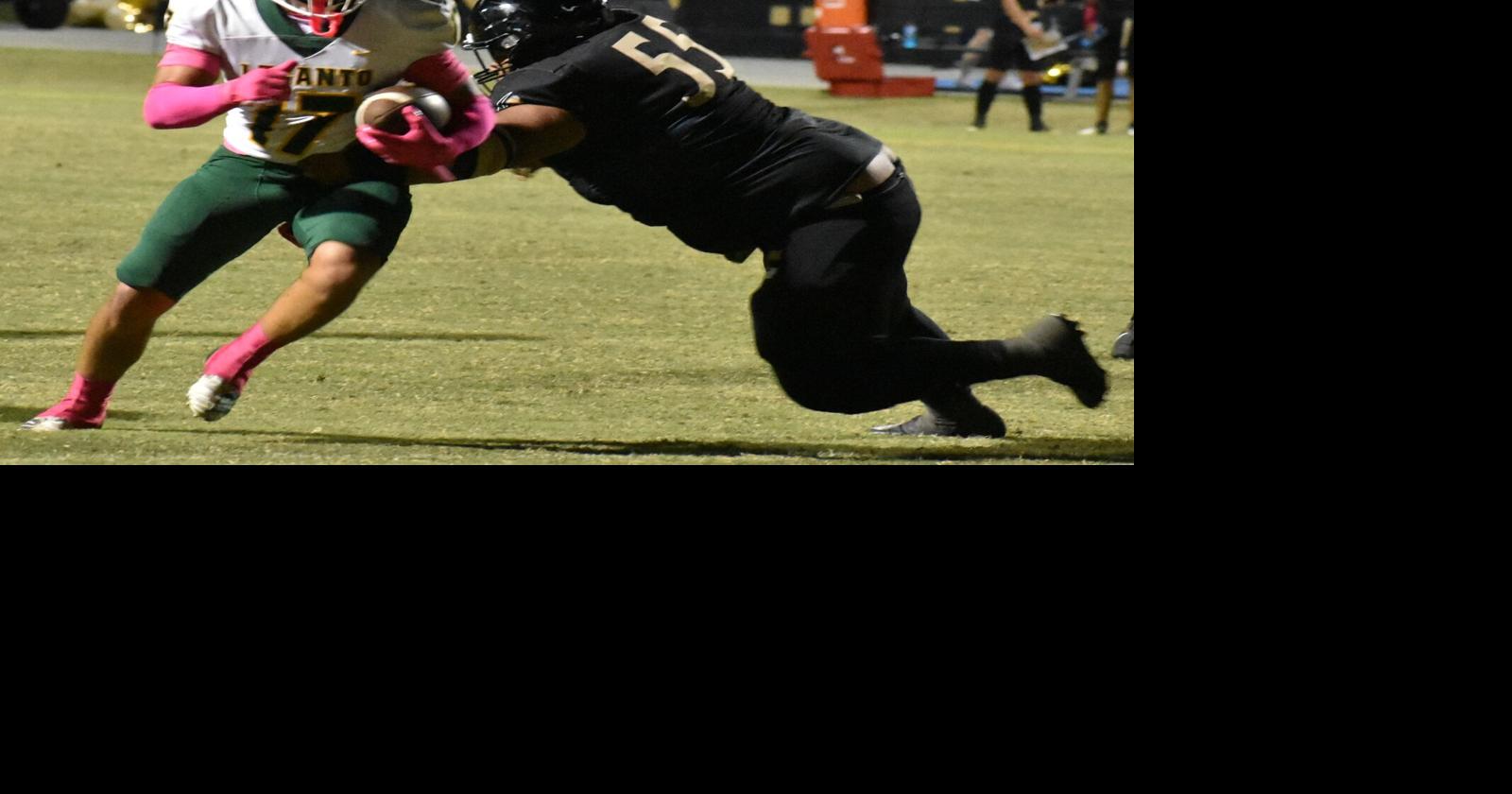 Panthers in must-win situation in Week 11 | Local Sports ...