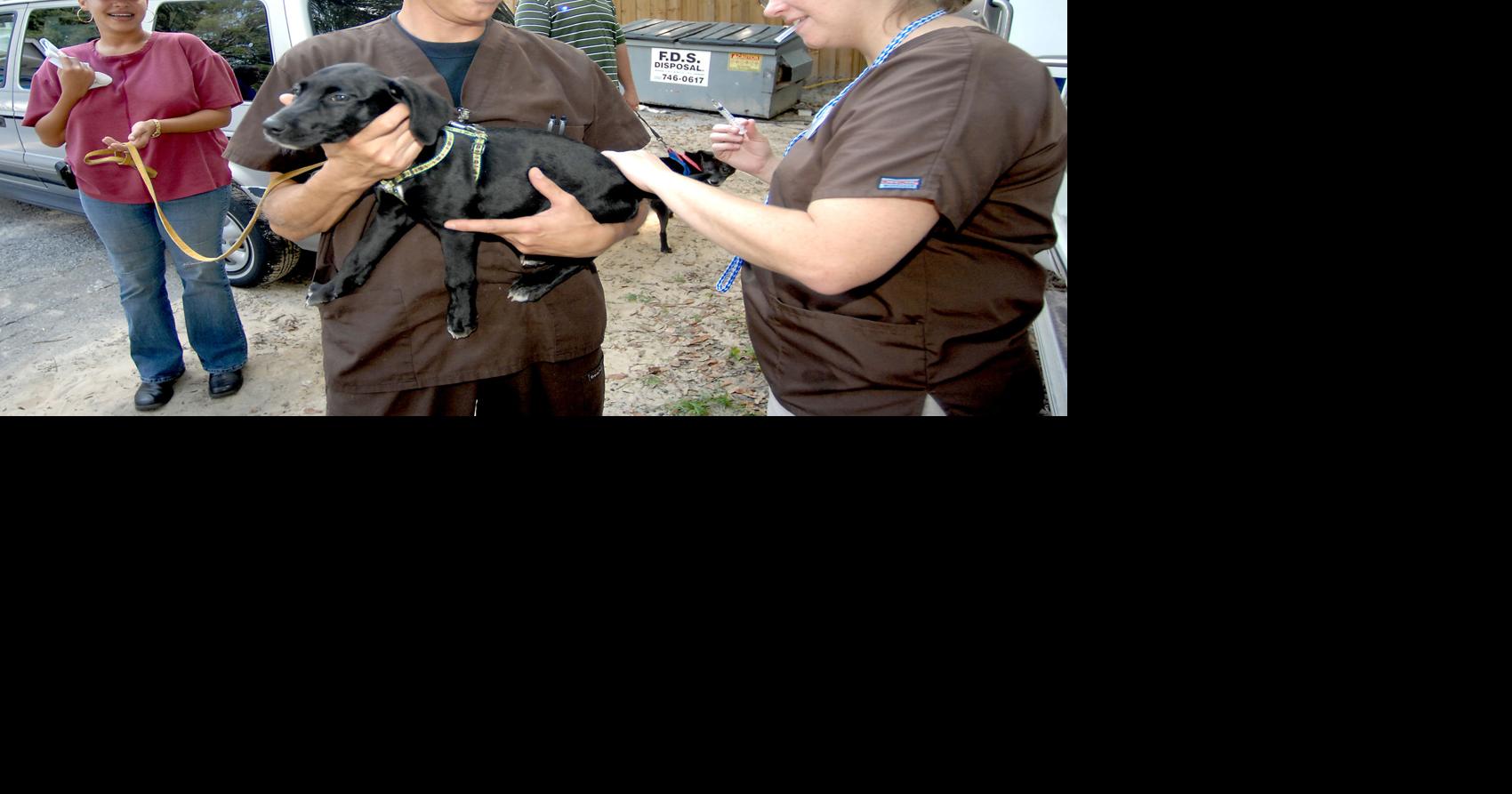 Pets turn out for free rabies shots | News | chronicleonline.com