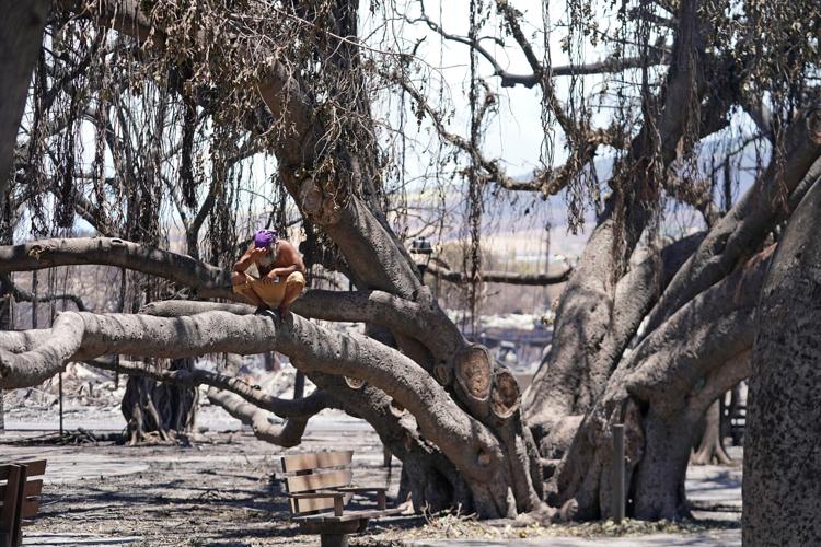 Extreme weather can whip up anxiety. A safety plan can help | National ...