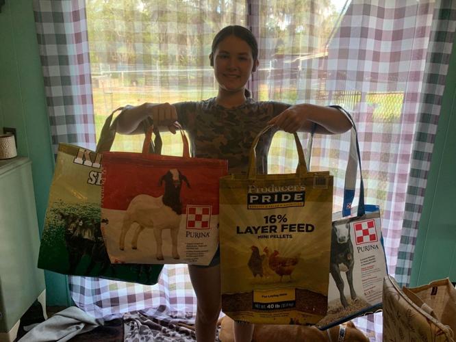 Teen makes totes to fund 4-H shows | Local News | chronicleonline.com