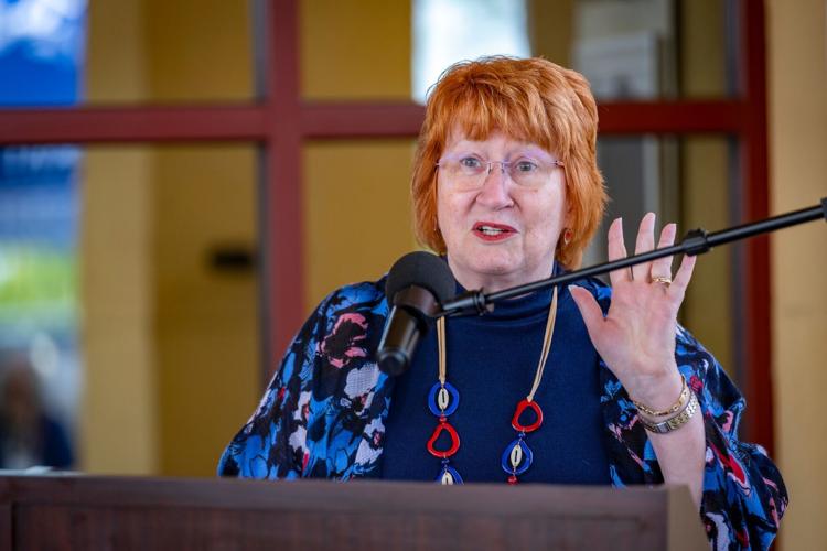 Friends of Freedom Public Library hold book sale in newly renovated ...