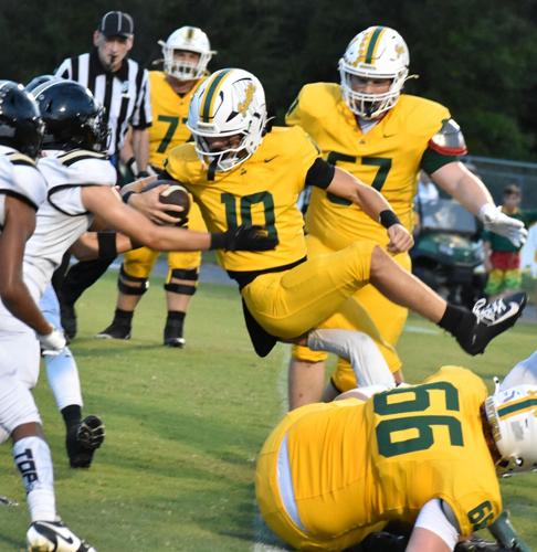 Tipton GC8's top offensive player | Sports | Citrus County Chronicle ...