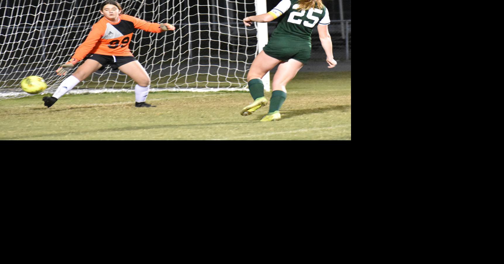 Panthers maul Hurricanes 8-0 | Local Sports | chronicleonline.com