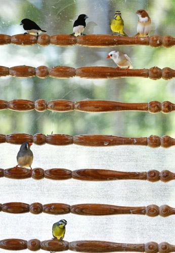 The Greenhouse Bistro & Venue: Tranquility with an organic sensibility ...