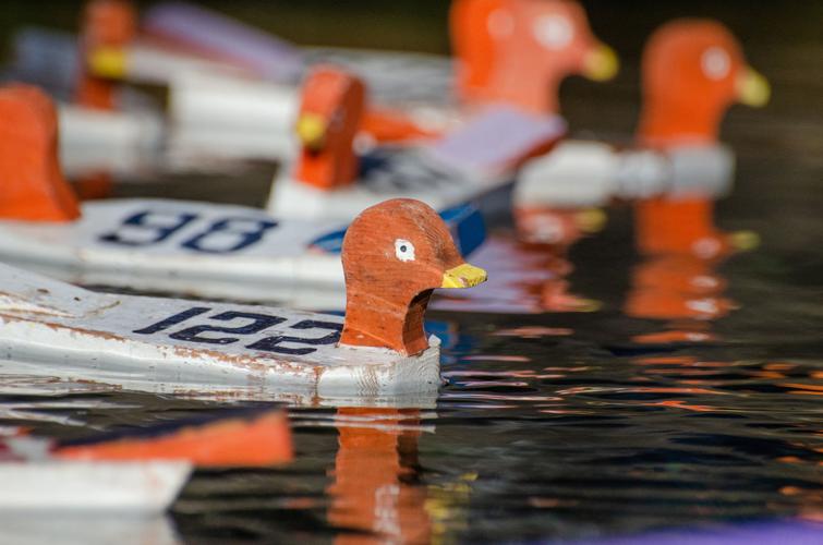 Wooden ducks descend on Rainbow for nonprofit fundraiser | Local News ...