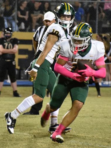 Lecanto on top again | Local Sports | chronicleonline.com