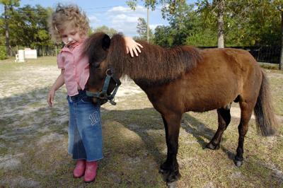 Lexi's life | News | chronicleonline.com