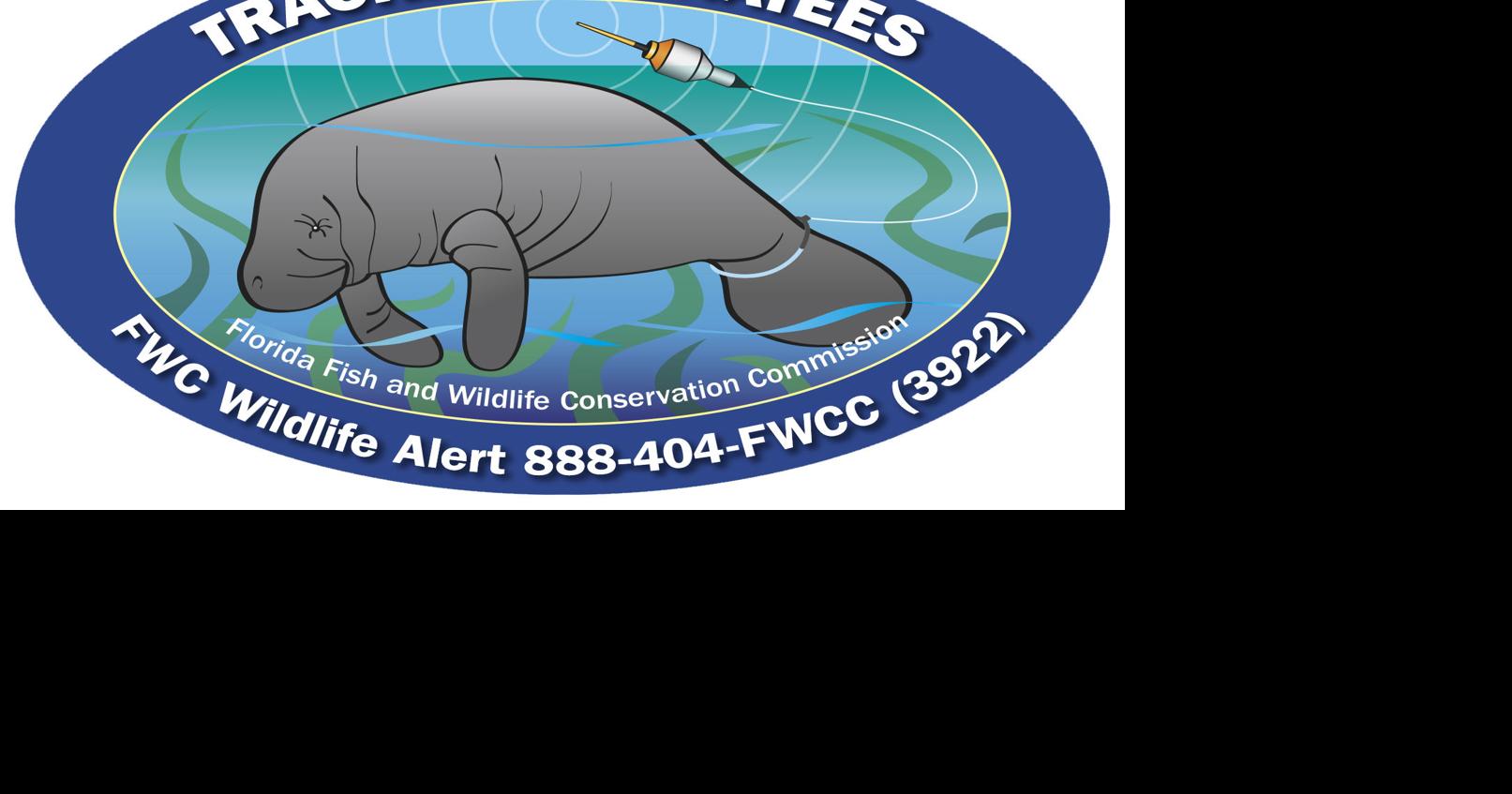 FWC issues new manatee decal | Local News | chronicleonline.com