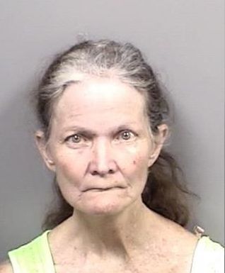 FHP arrests Inverness woman in hit-and-run crash | Crime & Courts ...