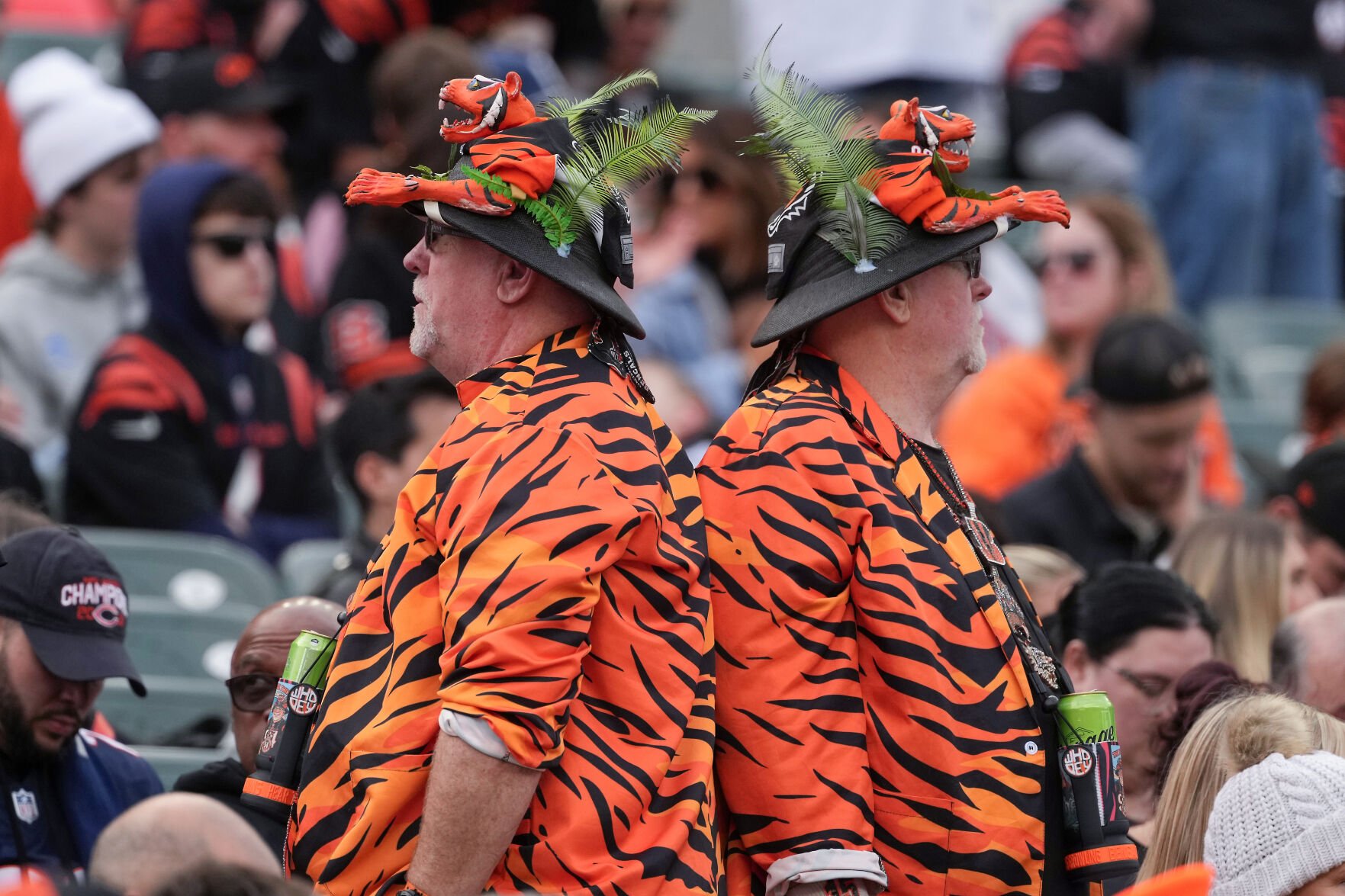 Cardinals Bengals Football | NFL Sports | chronicleonline.com