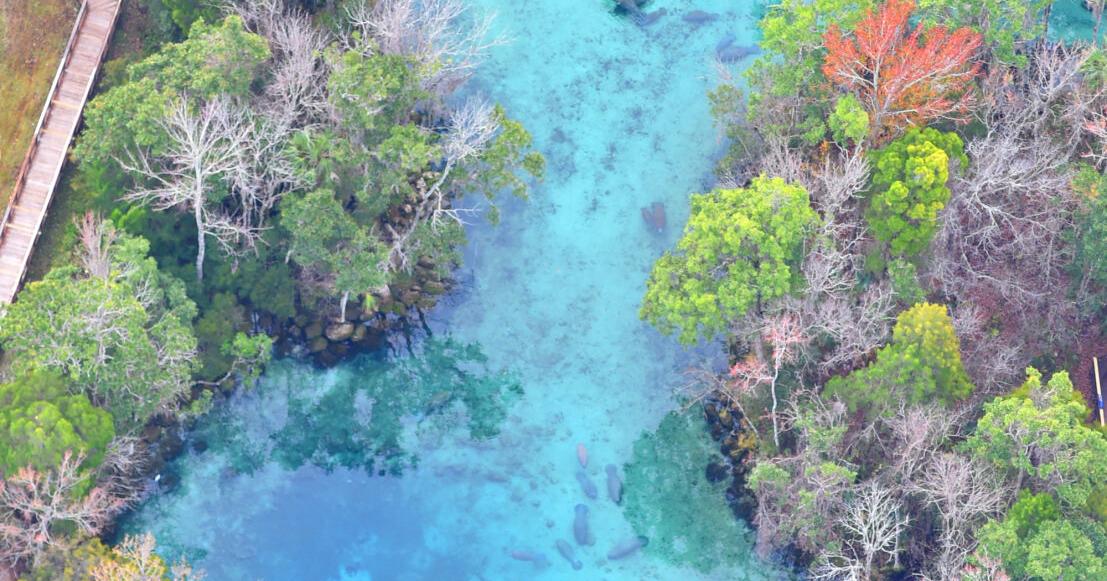 Water district proclaims April as Springs Protection Awareness Month ...