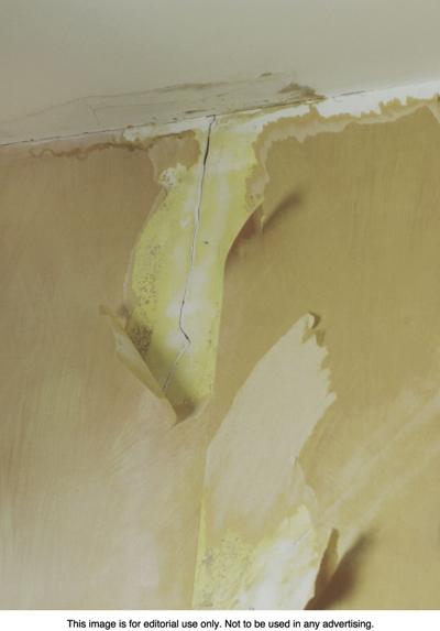 How to spot mold in your home | Lifestyle | chronicleonline.com