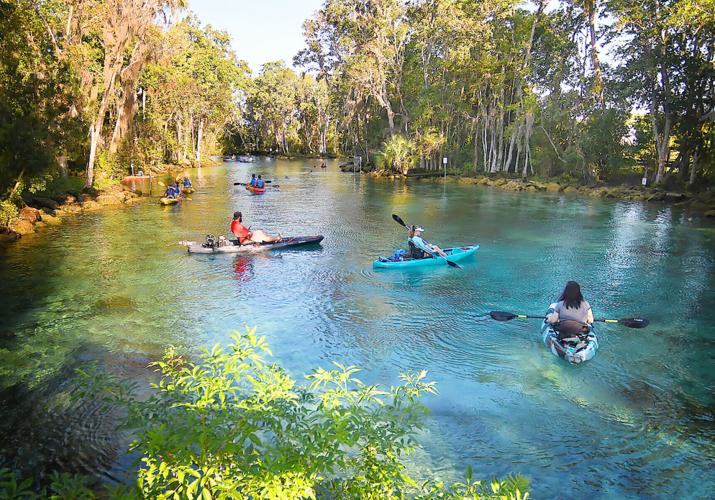 Florida springs provide critical resource | Local News ...