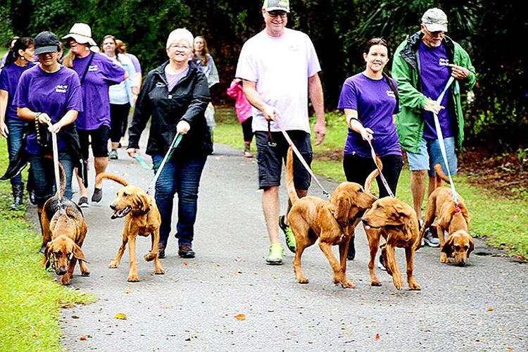 Citrus Walk Aware: Strolling for a purpose | Health | chronicleonline.com