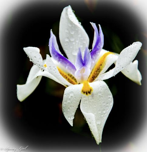 Photo exhibit a big success for Art Center Camera Club | Lifestyle ...